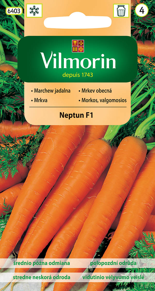 Marchew jadalna Neptun F1 nasiona 2g Vilmorin w sklepie e-Ogrodniczy.pl